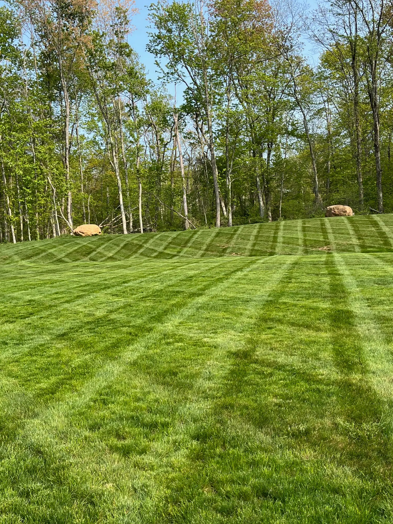 Spring and Fall Clean-Ups in Hartford County, CT | Comprehensive ...